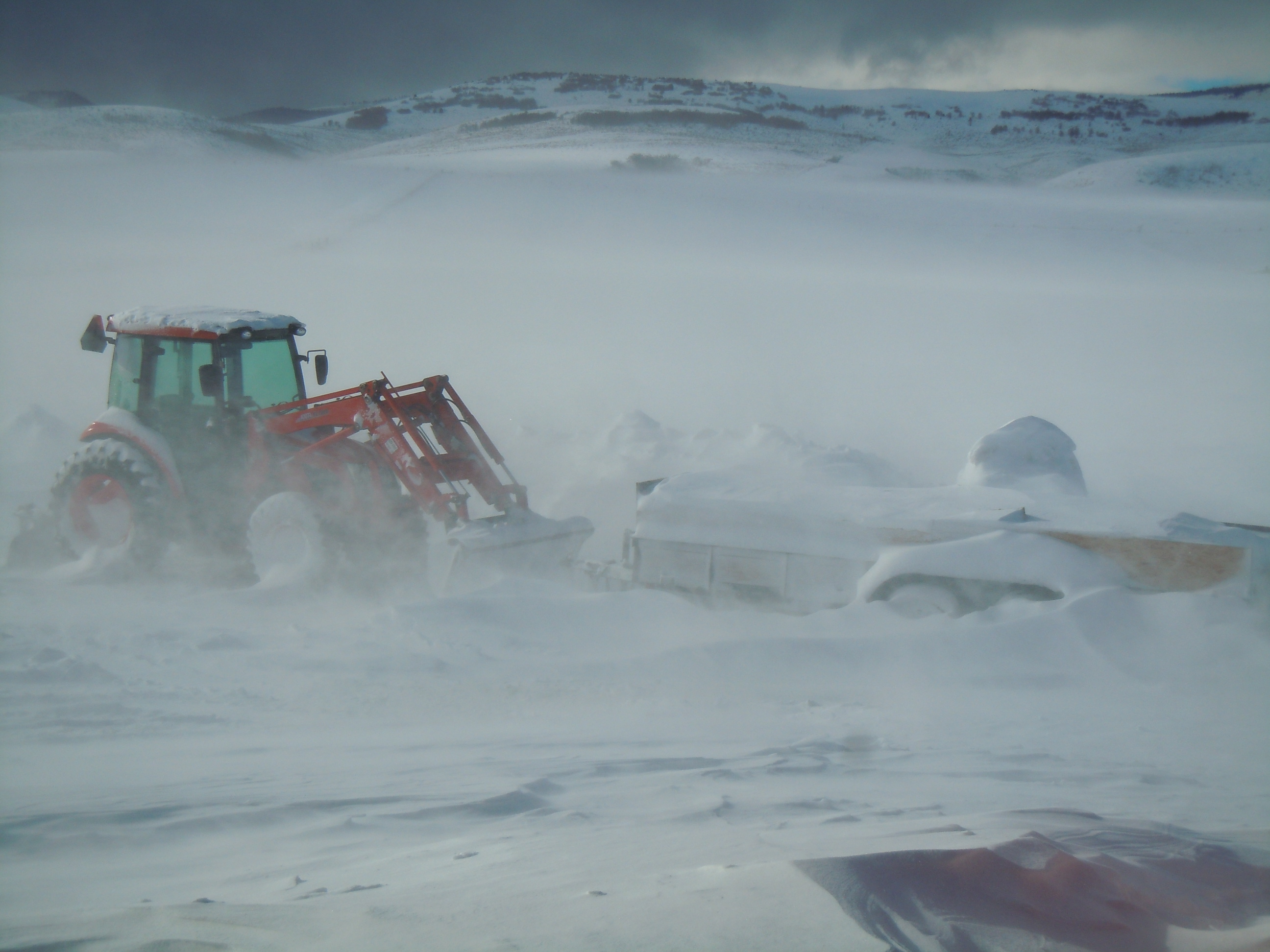 Starting our new life | Page 71 - TractorByNet