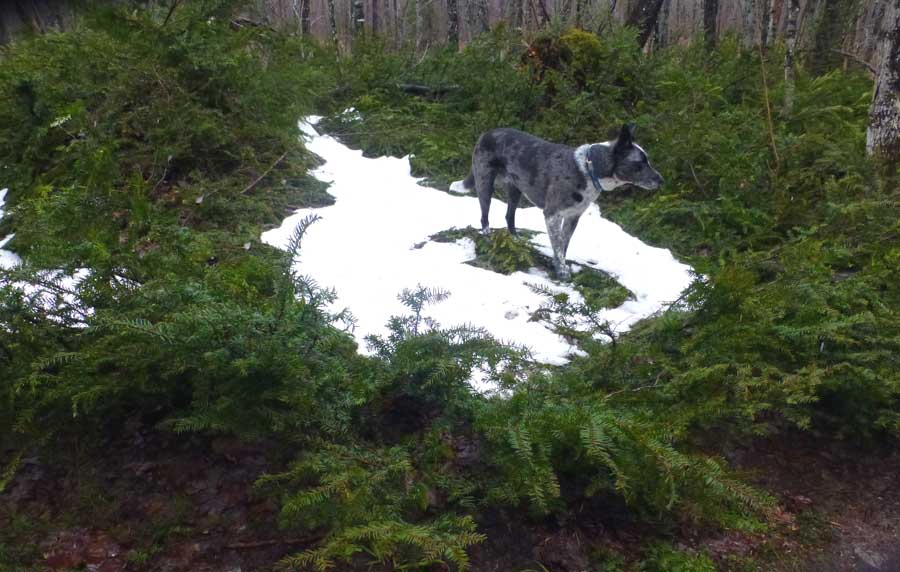 Cool Nature Photos | Page 223 - TractorByNet