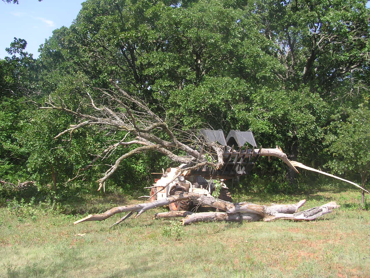 The Biggest Dead Tree That I Have Pushed Over - TractorByNet